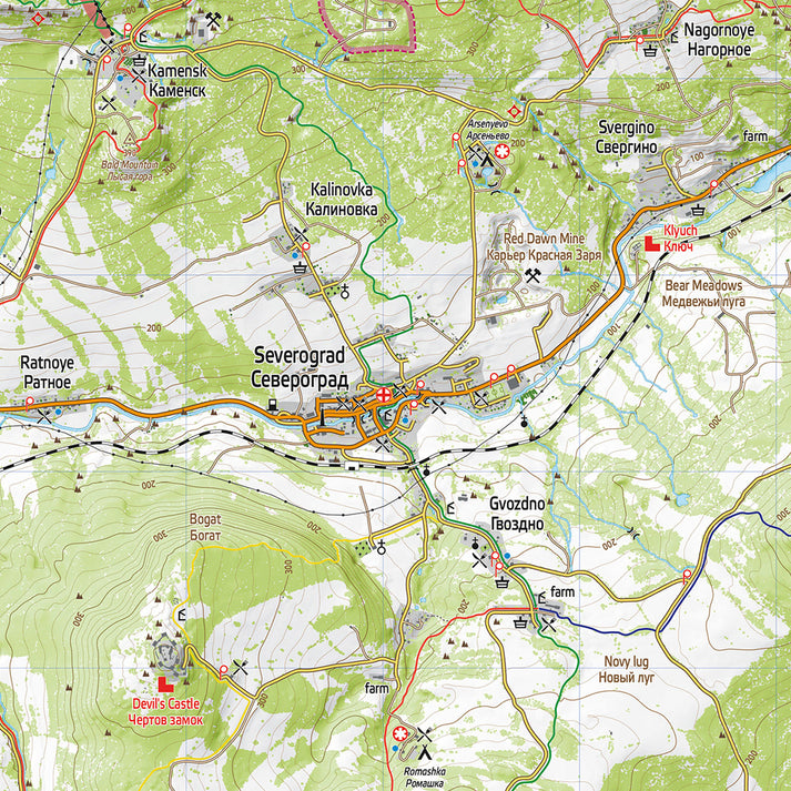DAYZ - CHERNARUS PRINTED MAP 2025 EDITION – BOHEMIA INTERACTIVE