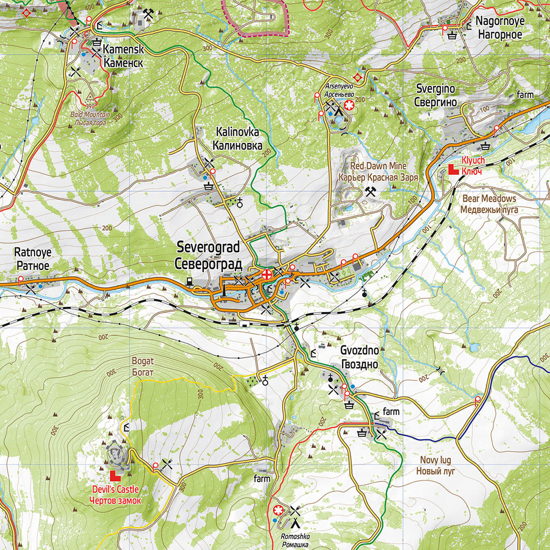 DAYZ - CHERNARUS PRINTED MAP 2025 EDITION 4-PACK – BOHEMIA INTERACTIVE