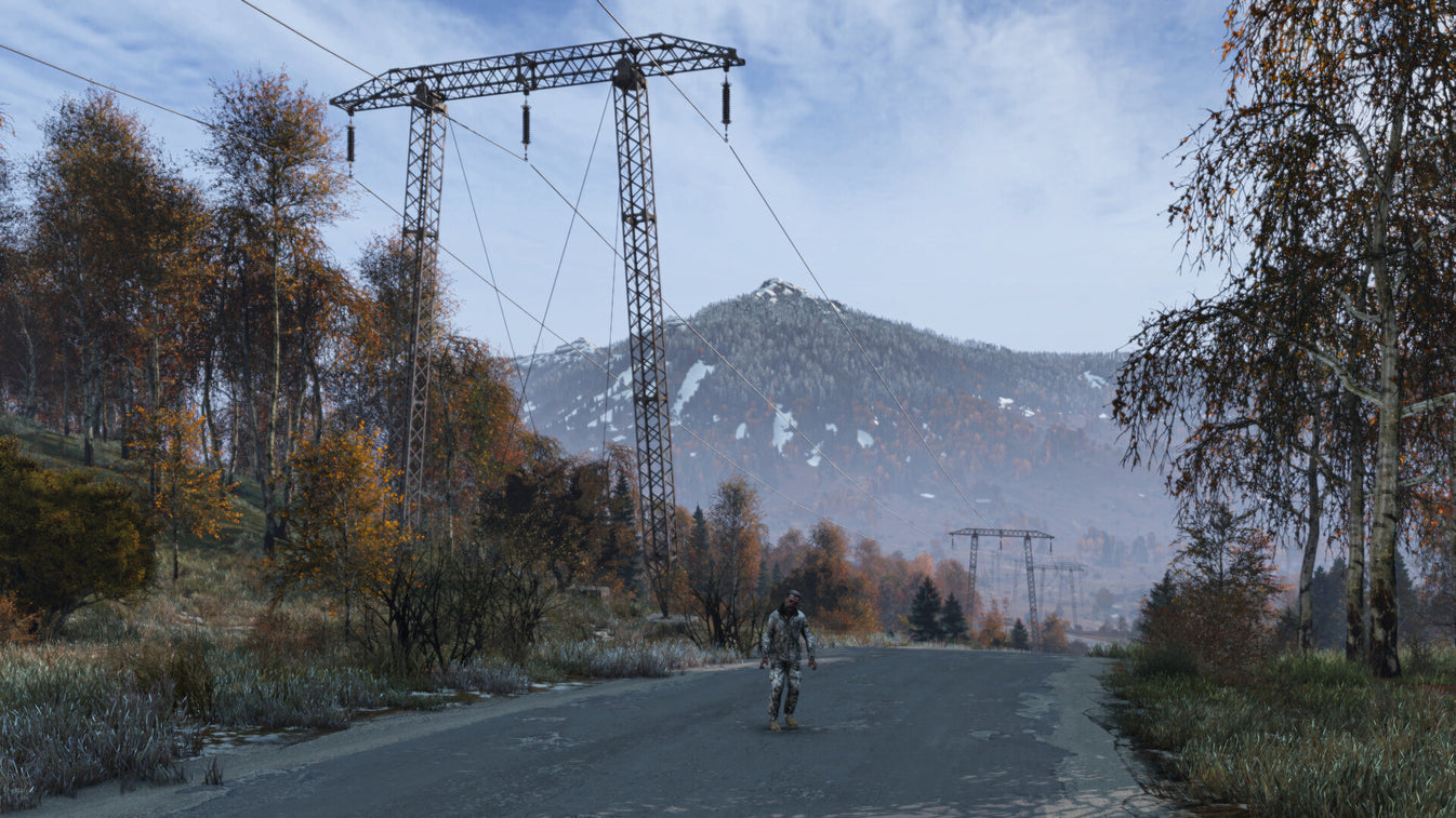 DAYZ FROSTLINE - DLC DIGITAL STEAM KEY – BOHEMIA INTERACTIVE